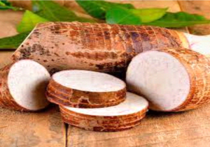 Our Crops – Tarotek SA